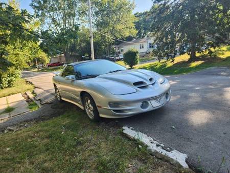 PONTIAC FIREBIRD pontiac-trans-am-ws6 occasion - Le Parking