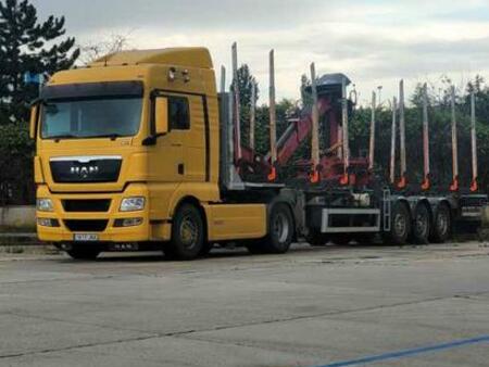 MAN TRUCK MAN TGX man y semirremolque forestal - tgx e Used - the parking