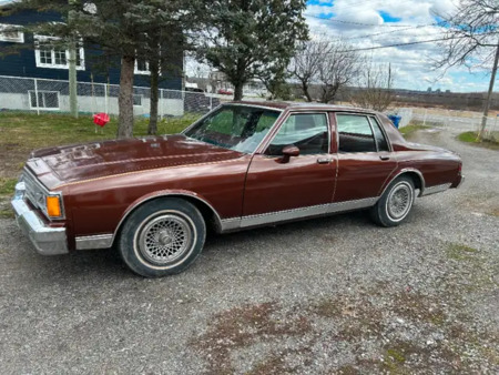 1981 Chevrolet Caprice Classic Purchase Used 1981 Chevrolet Caprice