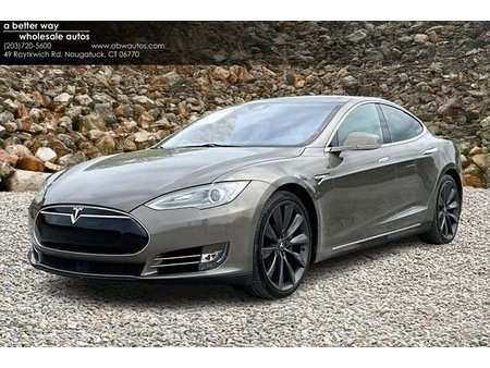 brown tesla s